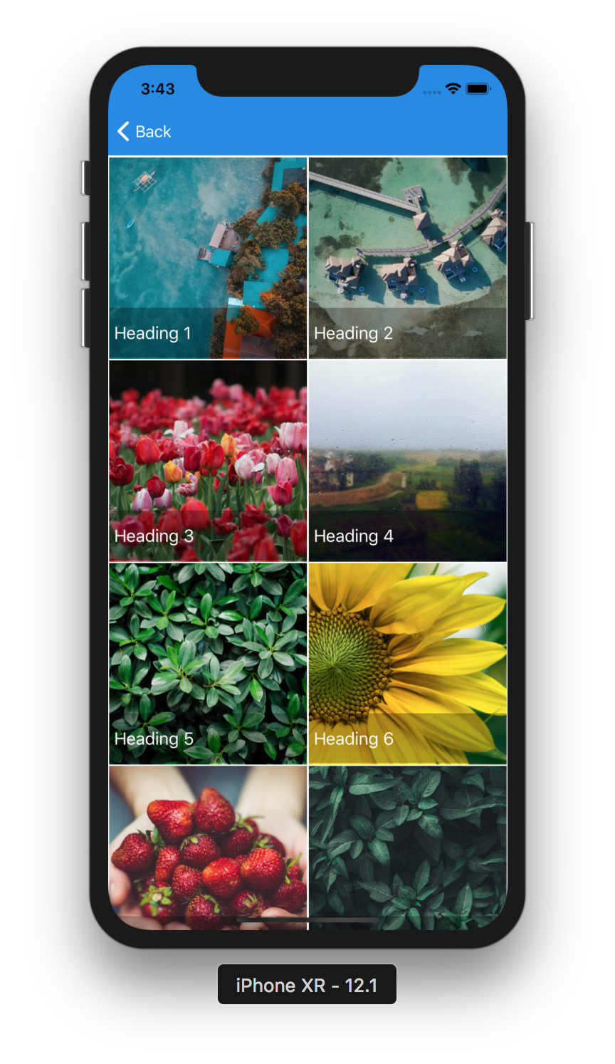 Phoenix - Full multipurpose React-Native Application & UI Component by thevmatrix